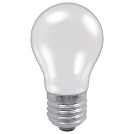 Professional 40W ES Pearl GLS