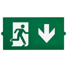 Signify Ecolink Emergency Exit Down Legend Sign | Lightsave